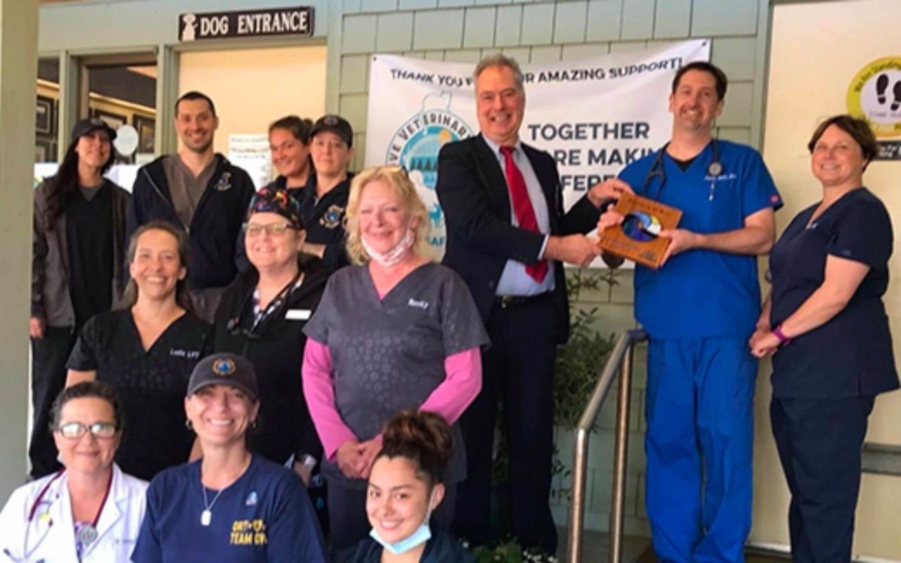 Vet Near Me Denver, CO 80206 | Western Veterinary Partners