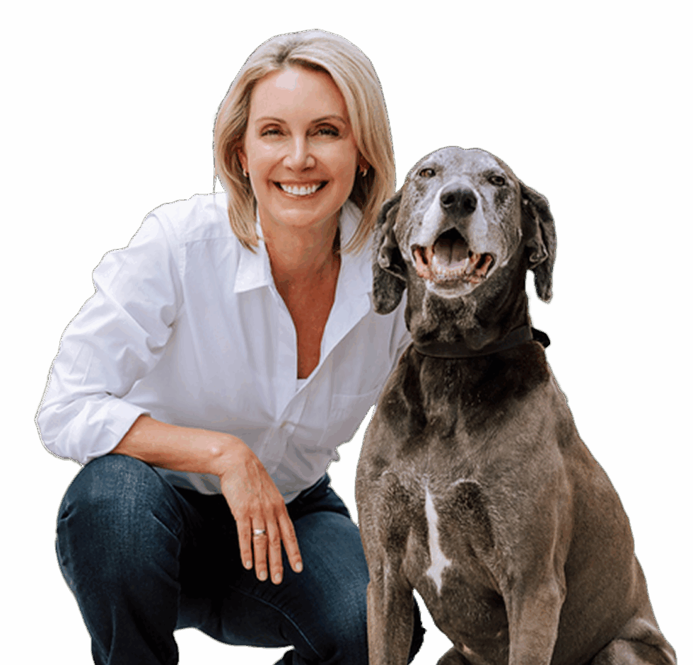 Vet Near Me Denver, CO 80206 | Western Veterinary Partners