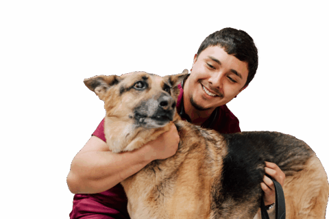 Western Veterinary Partners Careers