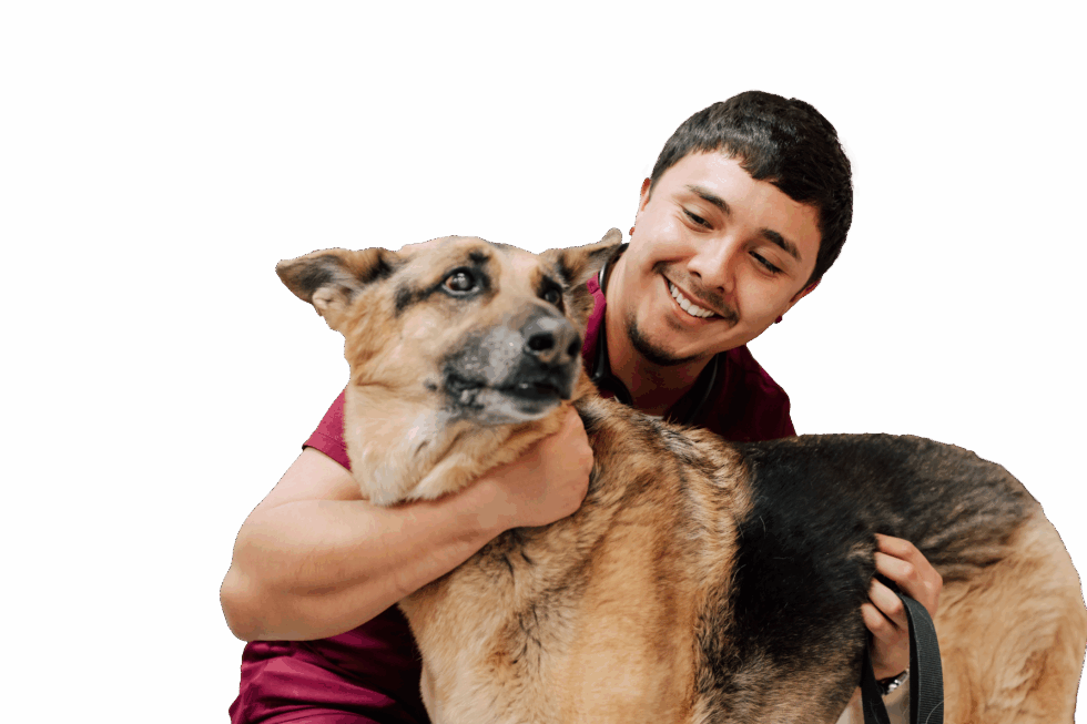 Western Veterinary Partners Careers